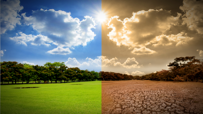 Why You Should Care About Human-Caused Climate Change? · Giving Compass