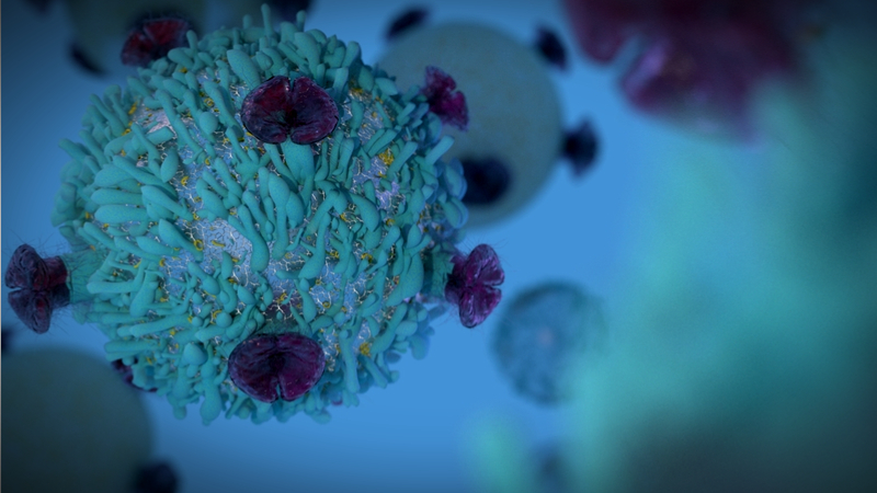 The Sugar Coating on Your Cells and Cancer - Giving Compass