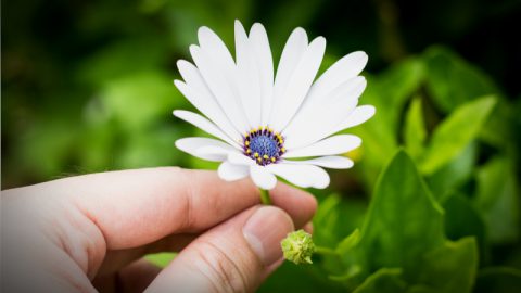 Why Giving Is Important - Giving Compass