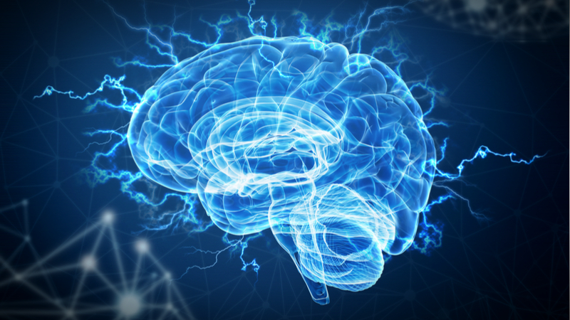 Aussie researchers to conduct world's first study on live brain cells ...