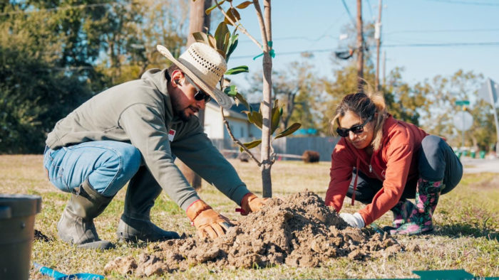 Tree Equity in Houston Gets a Boost from Digital Tool - Giving Compass