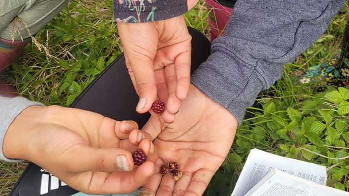 Repairing the Harm of Native Cultural Appropriation in Youth Outdoor ...