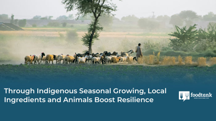 Indigenous and Local Food Systems Build Climate Resilience - Giving Compass